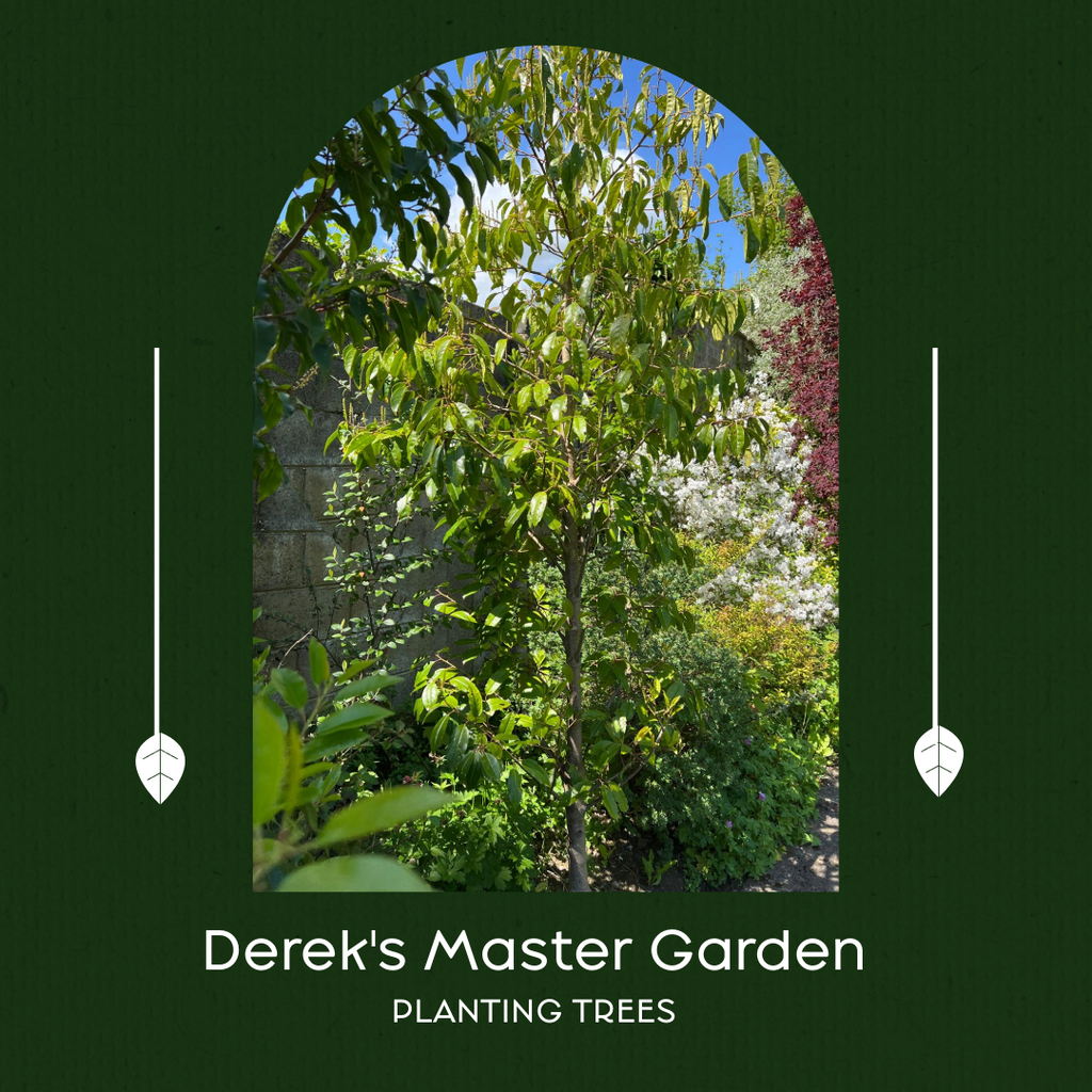 Derek's Master Garden – Creacon Wellness Retreat